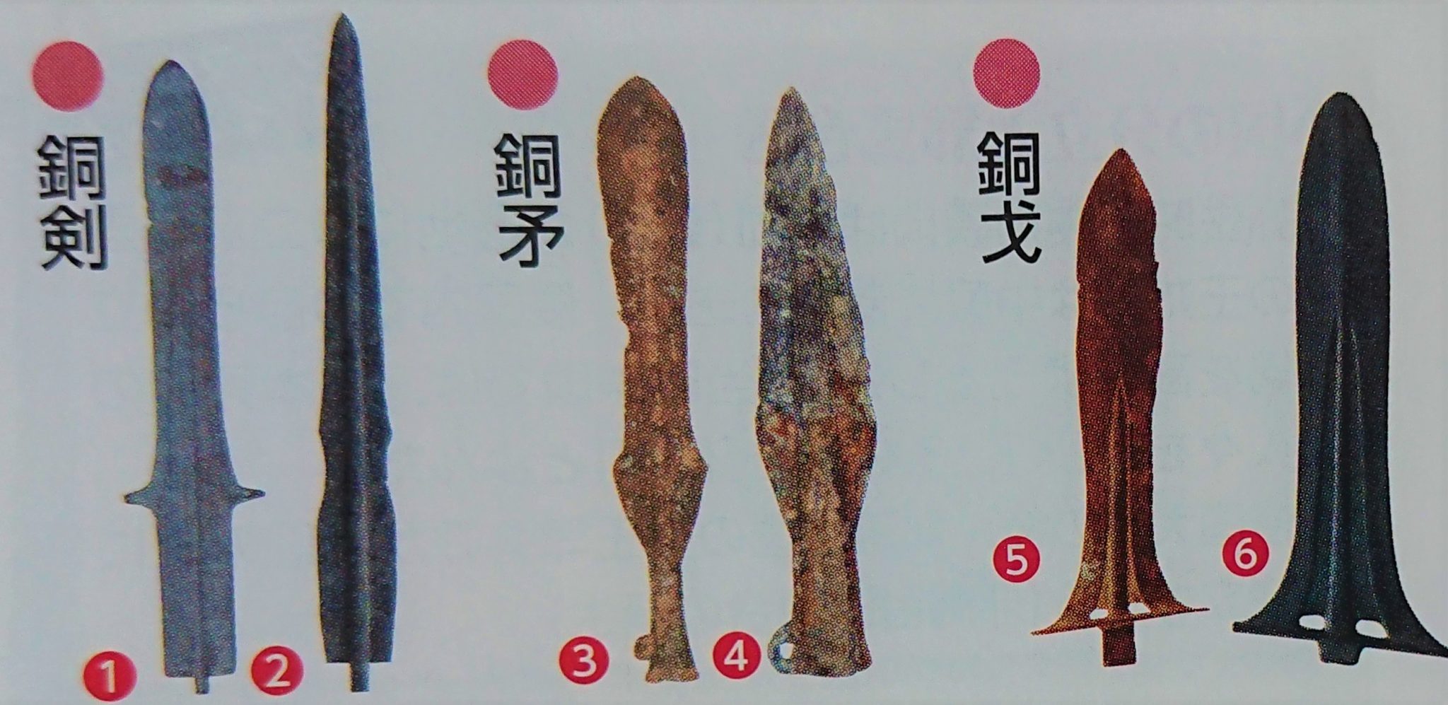 弥生時代は戦いの時代！争いってなんで起こるの？？ - パペリ大学